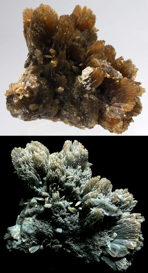 Fluorescent Museum page 7d