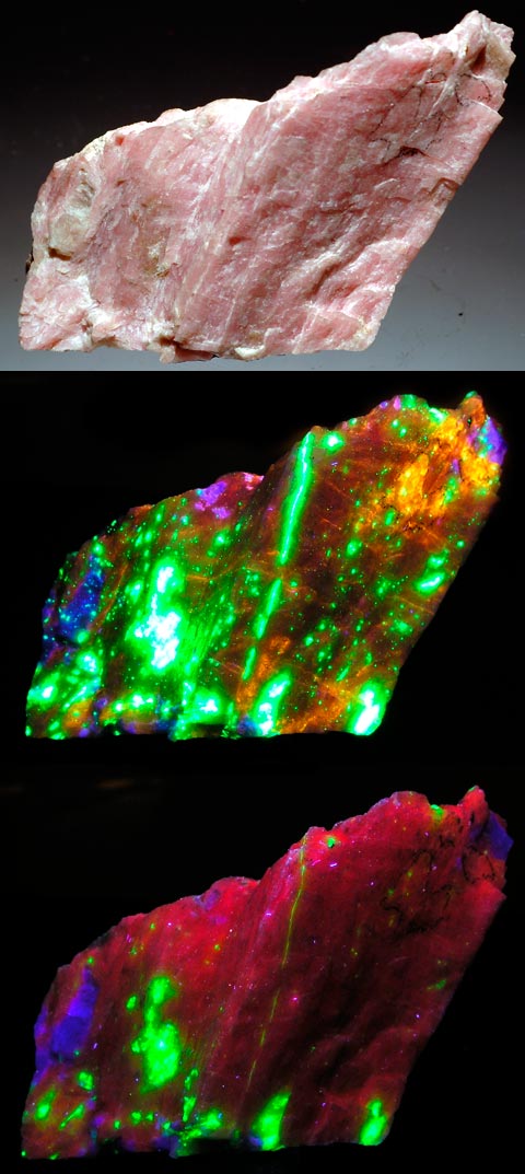 Fluorescent Museum page 7