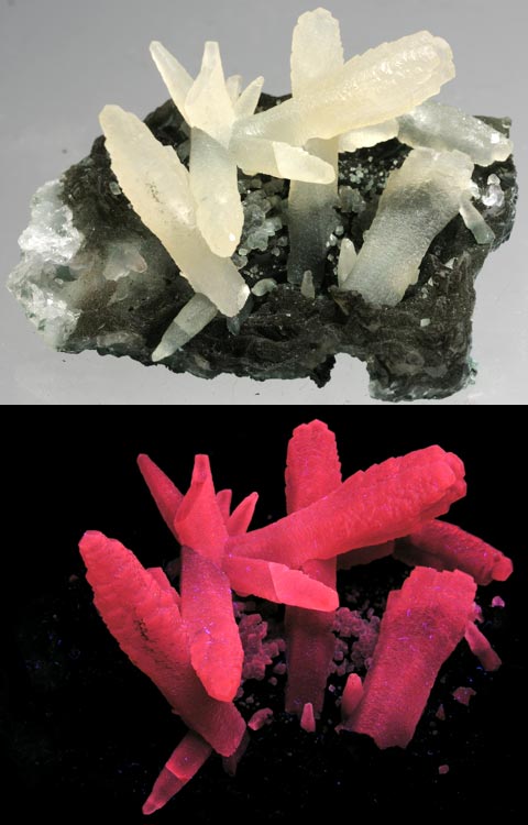 Fluorescent Museum page 7d