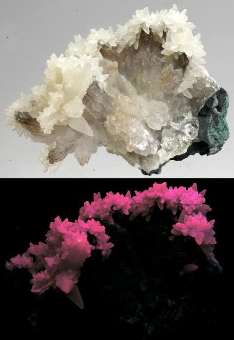 Fluorescent Museum page 7d