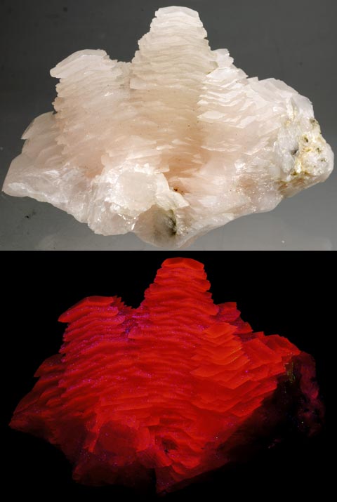 Fluorescent Museum page 7d