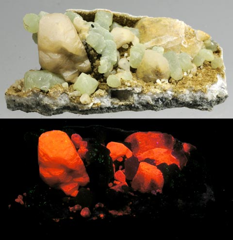 Fluorescent Museum page 7d