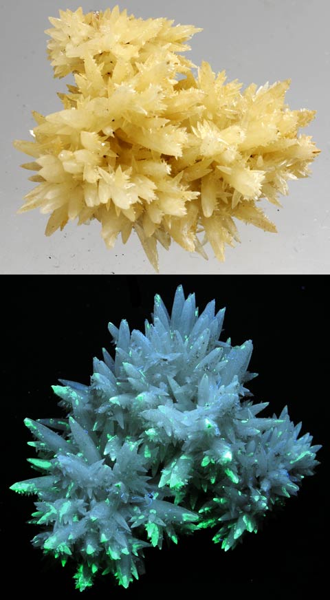 Fluorescent Museum page 7d