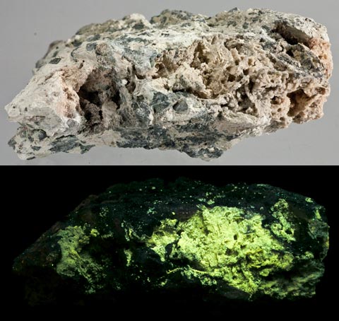 Fluorescent Museum page 8