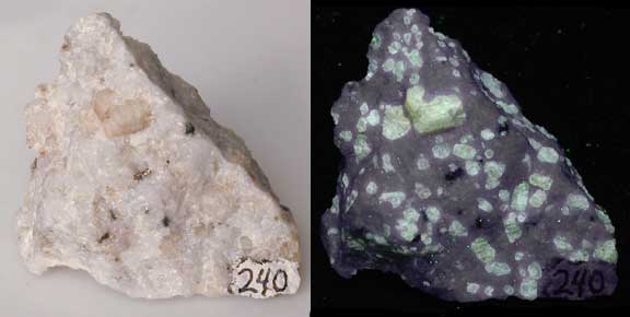 Fluorescent Museum page 3