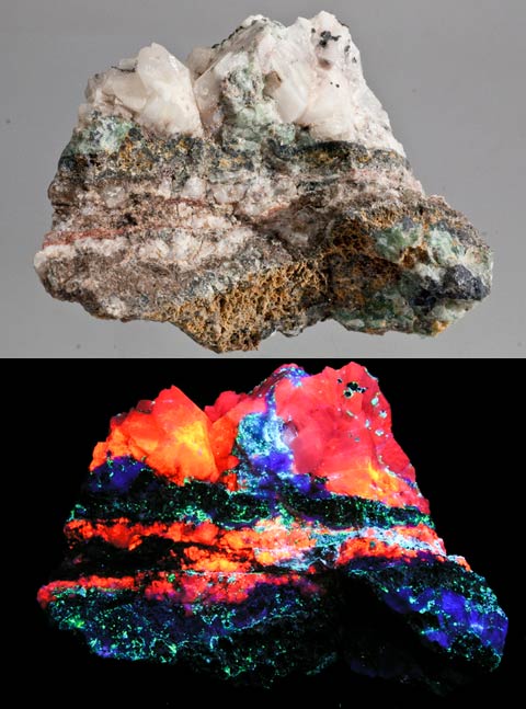 Fluorescent Museum page 4