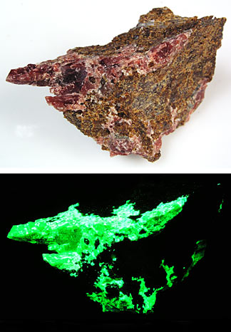 Fluorescent Museum page 8