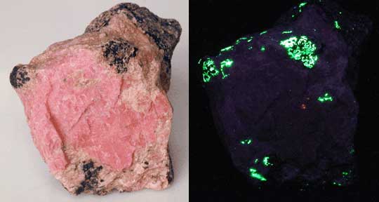 Fluorescent Museum page 3