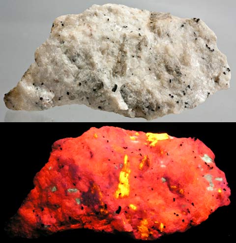 Fluorescent Museum page 3