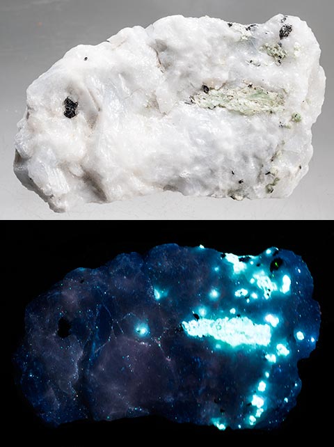 Fluorescent Museum page 9a