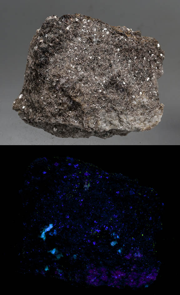 Fluorescent Museum page 9a